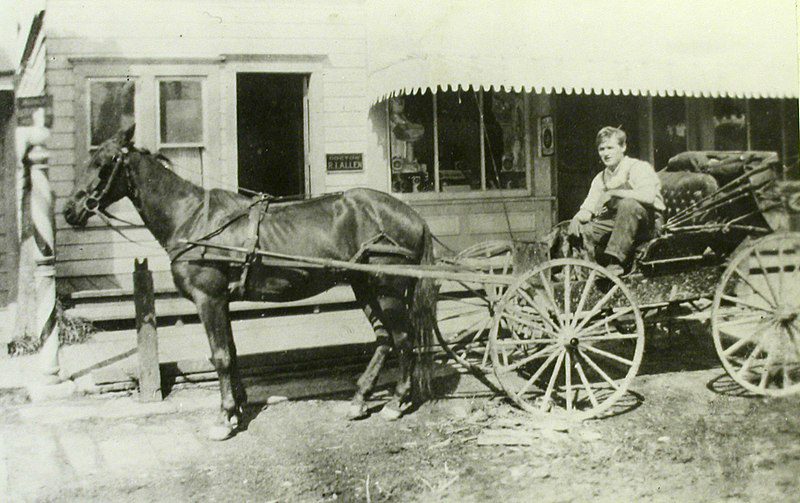 Have you fallen into the buggy whip trap? - Official website of Dave Berkus